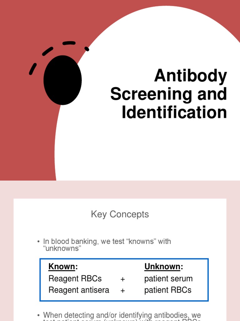 Antibody Screening Key Concepts | PDF | Antibody | Blood Plasma