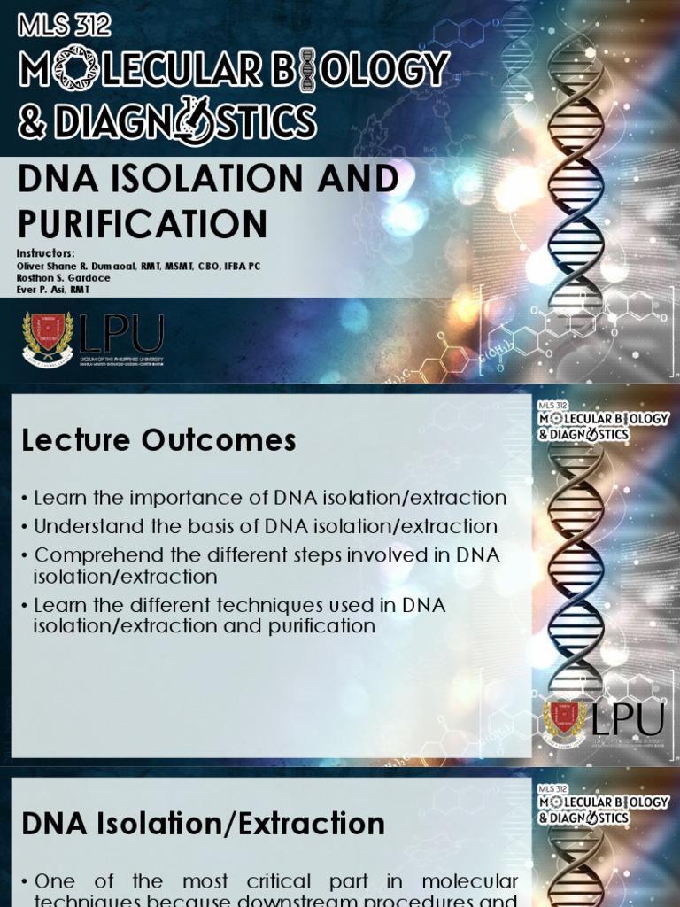 A Comprehensive Guide to DNA Isolation and Purification Techniques ...