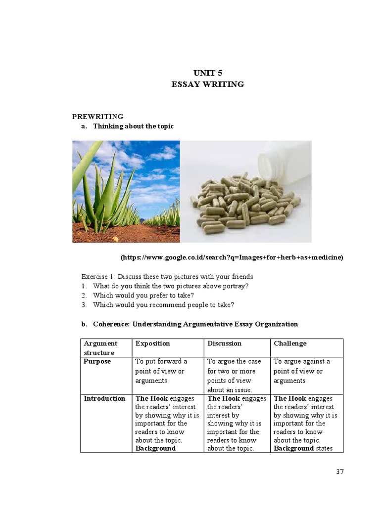 Writing An Essay - Copy (Repaired) | PDF | Essays | Nuclear Power