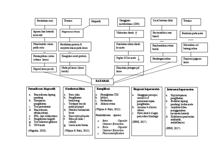 Pathway Katarak | PDF