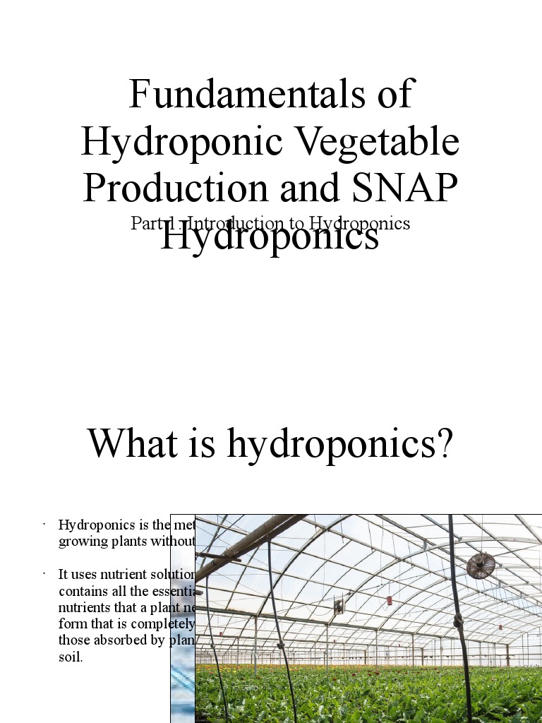 Fundamentals of Hydroponic Vegetable Production and SNAP Hydroponics ...