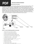 Ap Bio Task Verbs | PDF | Hypothesis | Evidence