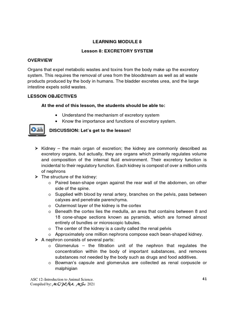Learning Module 8 Lesson 8: Excretory System: 41: M.Opeña, MSC | PDF ...
