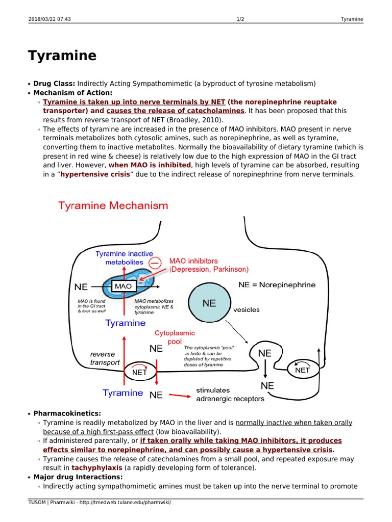Cheese Reaction | PDF | Drugs | Pharmacology