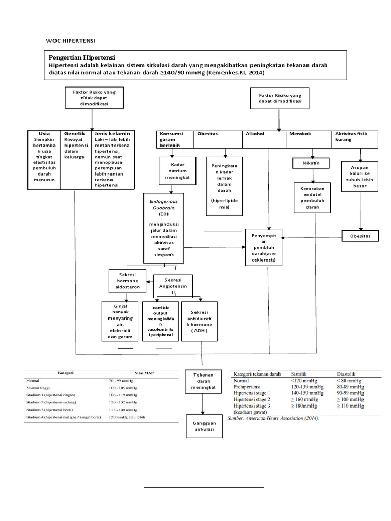 WOC Hipertensi | PDF