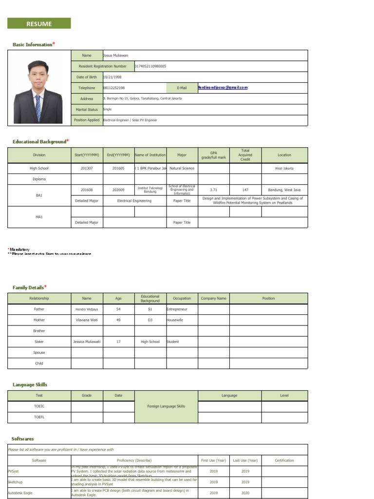 Electrical Engineer Job Application Form | PDF | System | Engineering