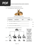 Magnification Worksheet | PDF | Units Of Measurement | Teaching Mathematics