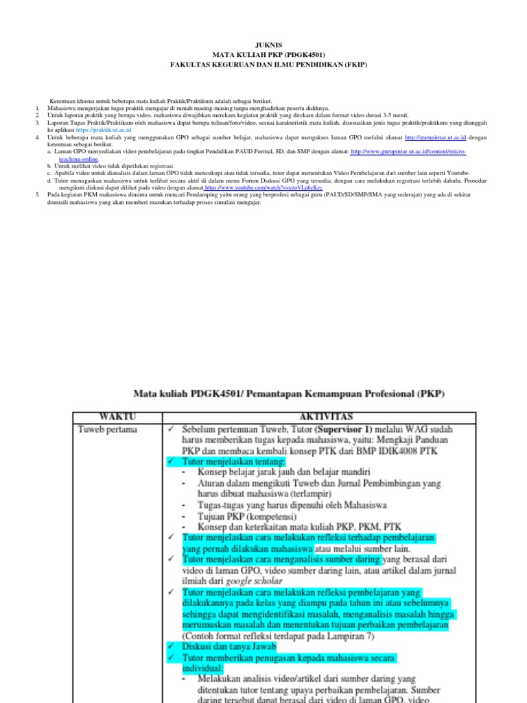 Panduan PKP - PGSD - FKIP Baru | PDF
