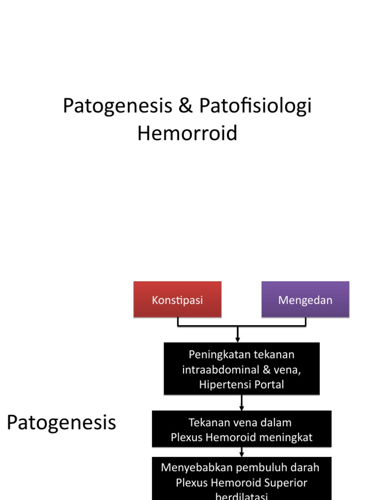 Patogenesis & Patofisiologi Hemorrhoid | PDF