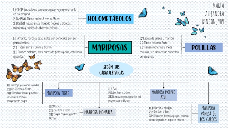 Mentefacto Conceptual Mariposas - Maria Alejandra Rincon | PDF