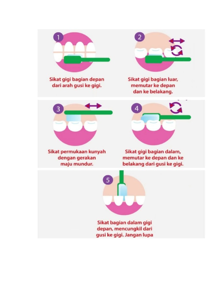 Gambar Menyikat Gigi | PDF