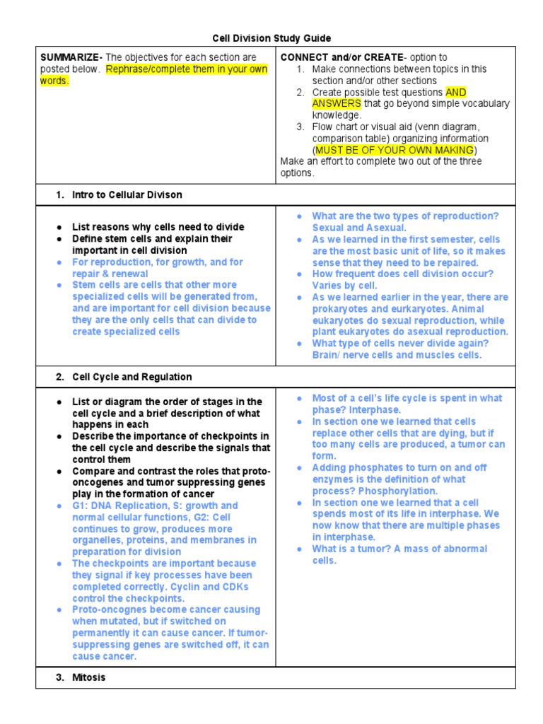 Cell Division Study Guide | PDF | Meiosis | Mitosis