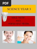 Science Year 5 Notes | PDF