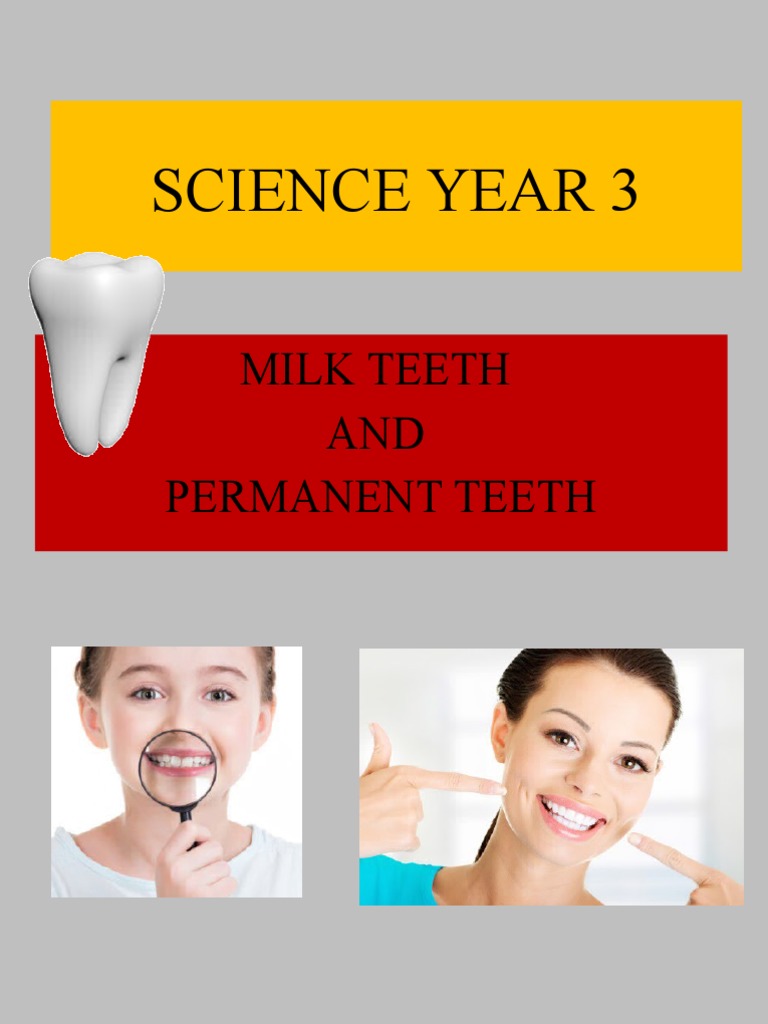 Teeth Science Year 3 (Milk and Permanent) Activity | PDF | Tooth ...
