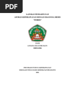 LP Febris | PDF