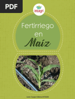 Manual para El Establecimiento de Una Huerta de Aguacate | PDF | Aguacate | Fertilizante