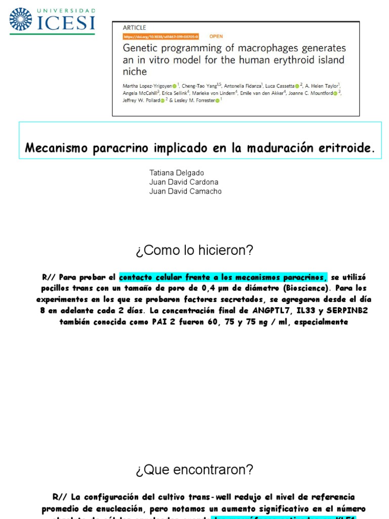 Mecanismo Paracrino Implicado en La Maduración Eritroide | PDF ...
