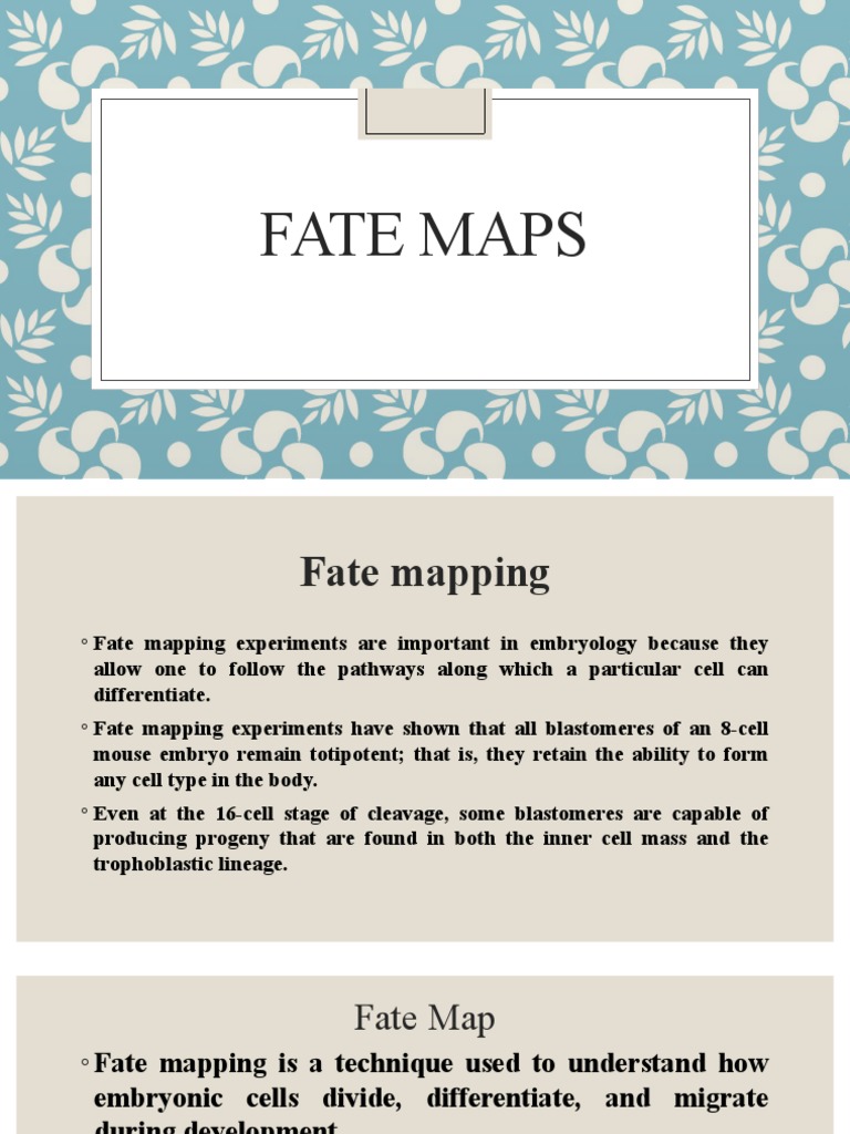 Fate Maps 17-11-2019 | PDF