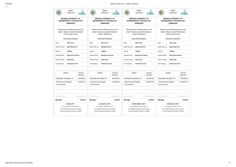 MUET Online Fees - Challan Generator | PDF | Services (Economics ...