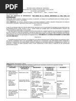 Temas Generadores PRIMARIA | PDF | Ciencias sociales | Computadoras