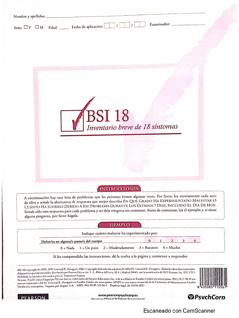 Protocolo BSI | PDF