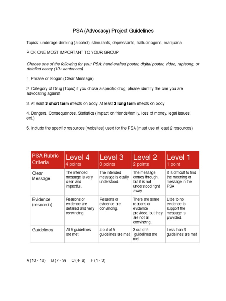 Psa Project Guidelines and Rubric | PDF