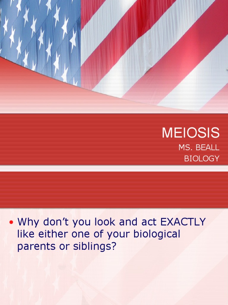 Meiosis: Ms. Beall Biology | PDF | Meiosis | Ploidy