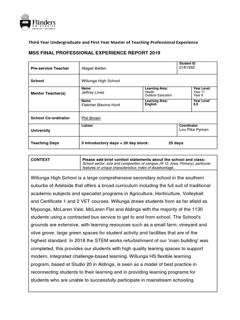 A Batten Year 3 Report 2019 | PDF | Mentorship | Teachers