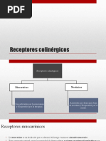 ANTICOLINERGICOS | PDF | Drogas | Farmacología
