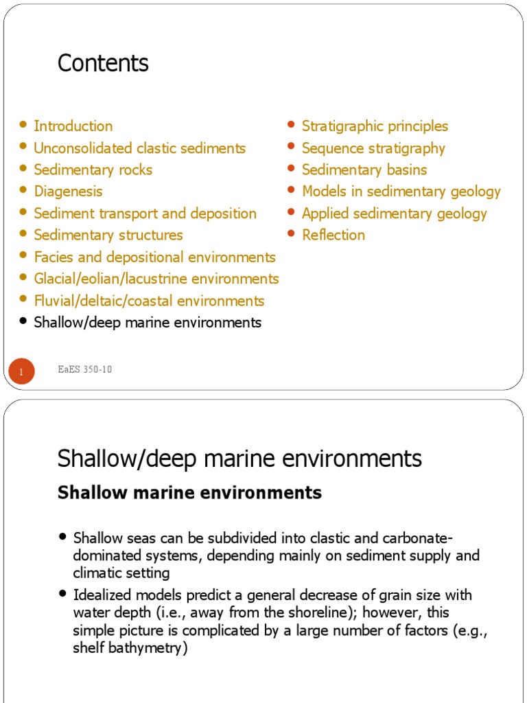 10 Shallow Deep Marine Environment | PDF | Sedimentary Rock | Sediment