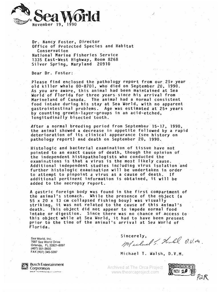 SeaWorld Orca Kanduke Killed by A Mosquito Bite: Necropsy & Article ...