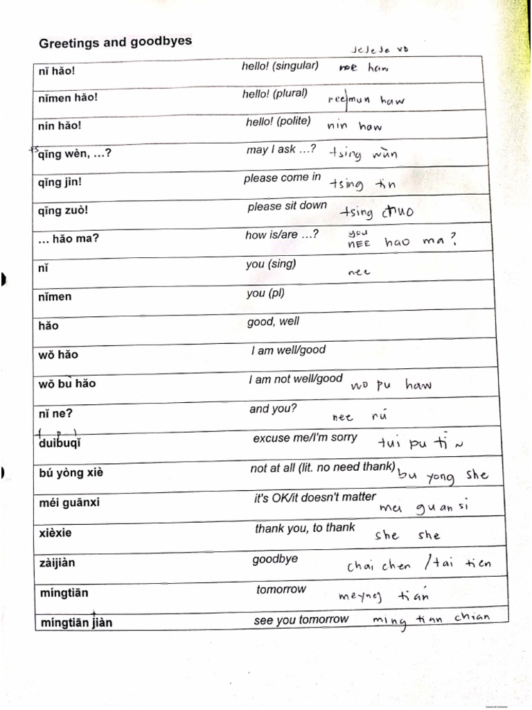 Mandarin Notes | PDF