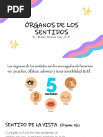 Presentación Power Point (Los Cinco Sentidos) | PDF | Gusto ...