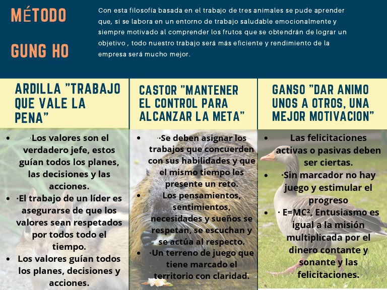 Método Gung Ho | PDF