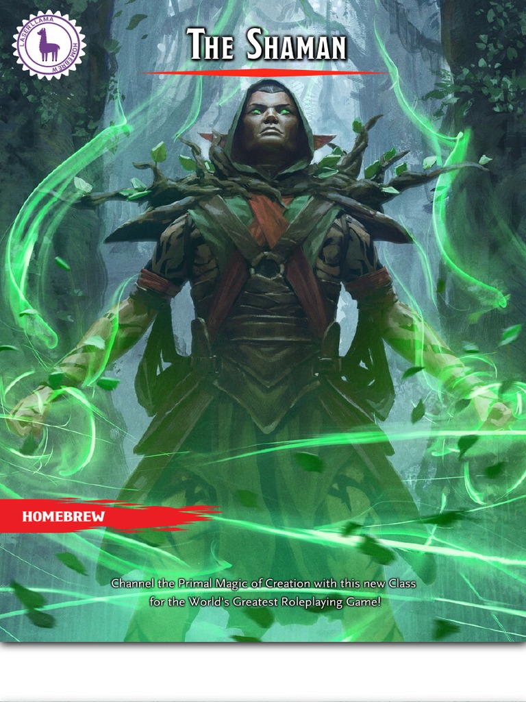 D&D 5E Shaman Class Overview | PDF