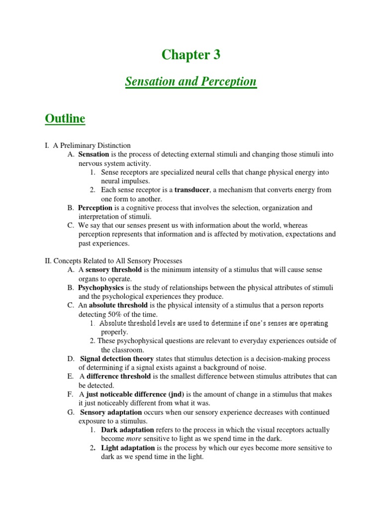 Outline: Sensation and Perception | Download Free PDF | Senses | Visual ...