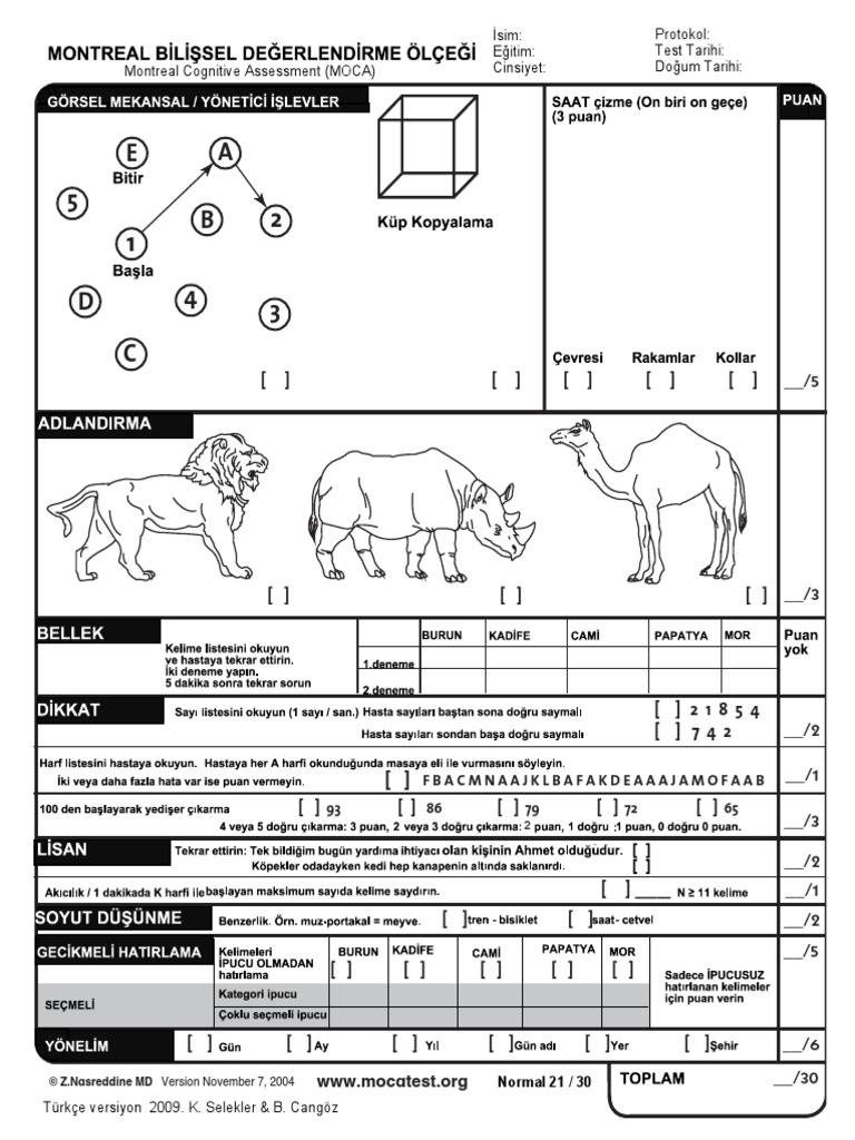 MOCA Test Turkish | PDF