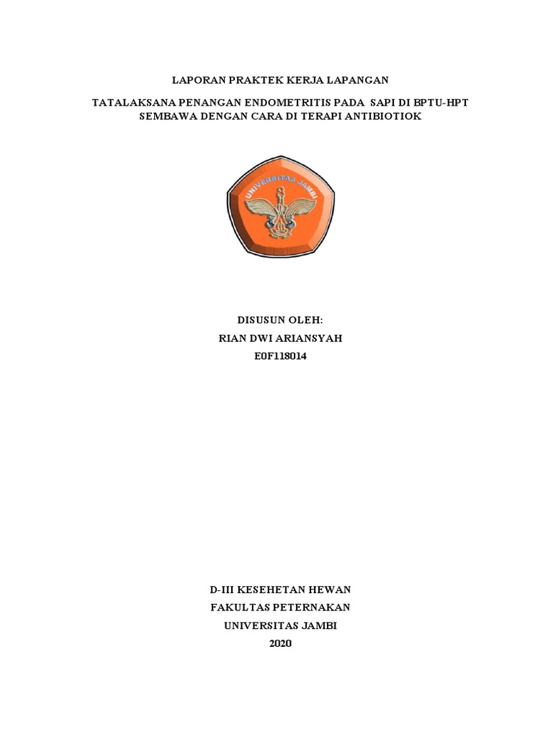 Penanganan Endometritis Sapi Antibiotik | PDF