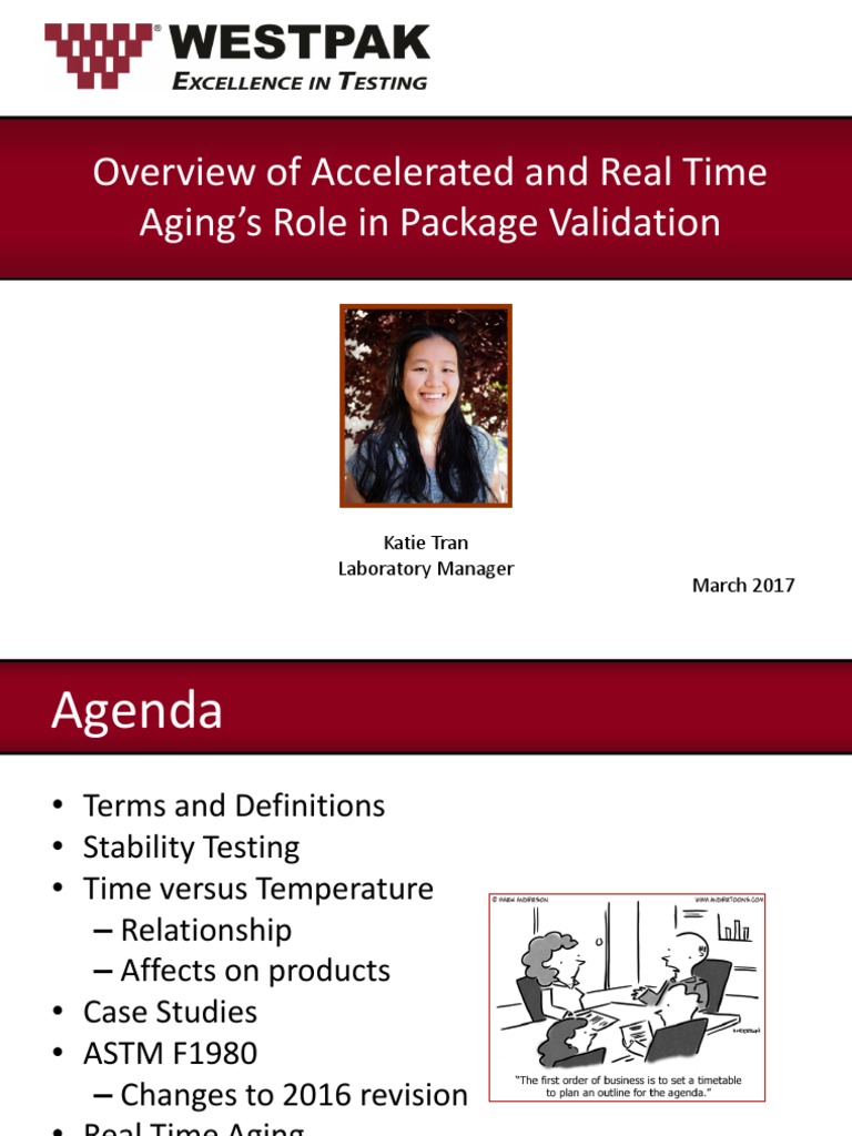 Overview of Accelerated and Real Time Aging S | PDF | Sterilization ...