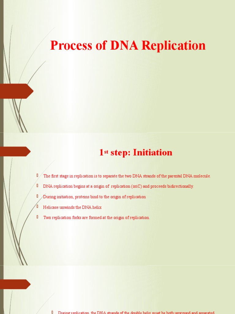 Steps of DNA Replication | PDF | Dna Replication | Dna