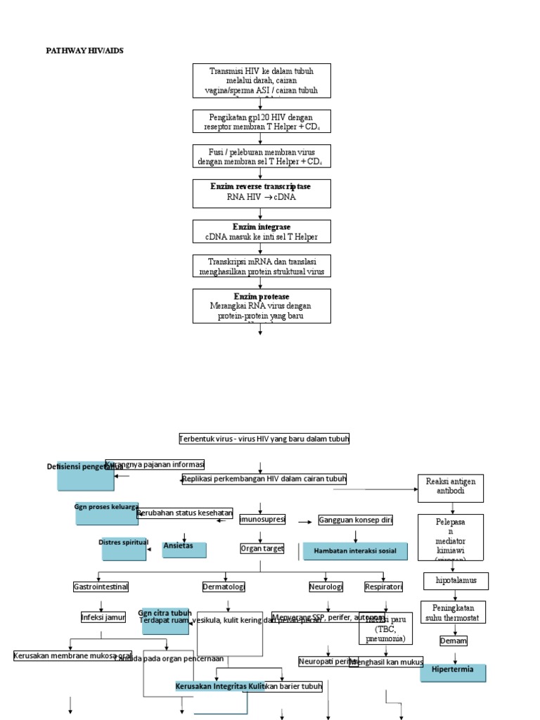 Pathway Hiv Aids | PDF