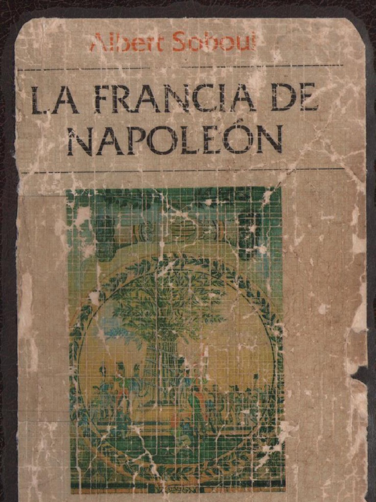 La Francia de Napoleon | PDF