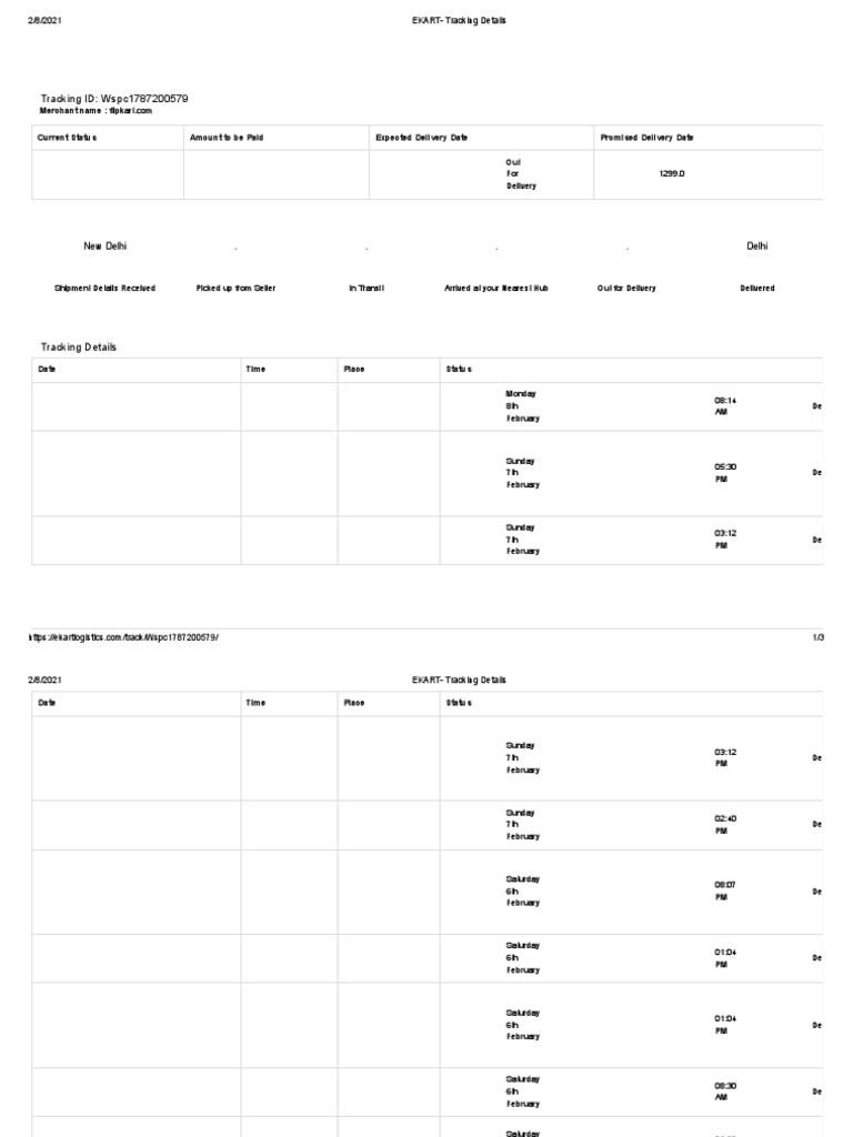Flipkart EKART - Tracking Details | PDF | Business | Sports