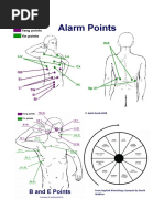 Advanced Kinesiology Final | PDF | Motor Neuron | Neuron
