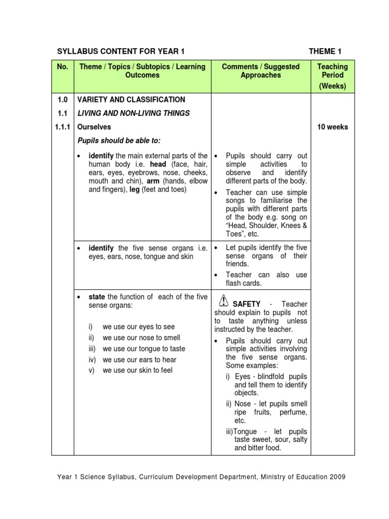 Y1 - Syllabus - Science Unit, CDD (2009) | PDF | Senses | Curriculum