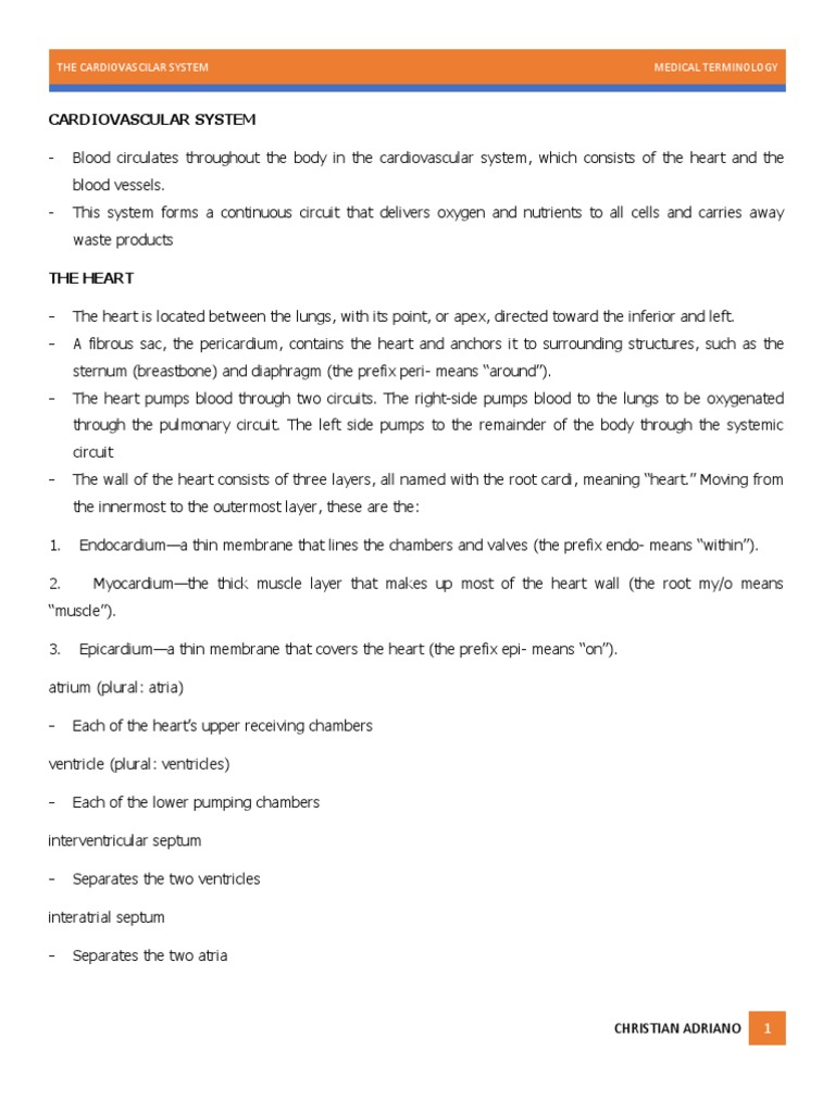 The Cardiovascilar System Medical Terminology | PDF | Heart Valve ...
