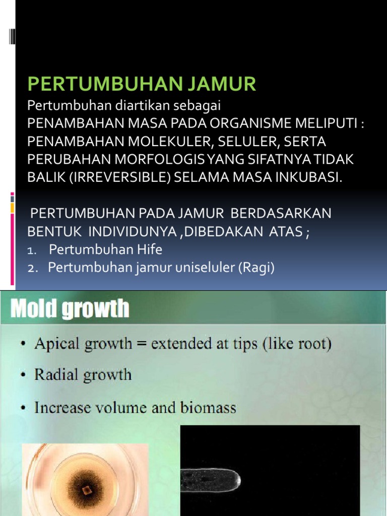 Pertumbuhan Jamur | PDF | Kesehatan Holistik | Sains & Matematika