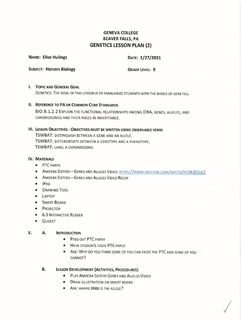 Artifact 1 - Lesson Plan | PDF