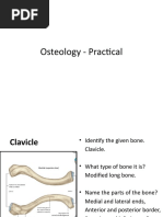 Skeletal System 206 Bones Comprehensive List | PDF | Skull ...