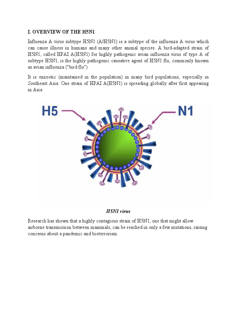 I. Overview of The H5N1 | PDF | Influenza A Virus Subtype H5 N1 | Avian ...